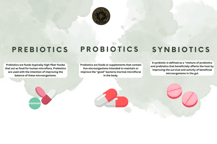 Unlocking the Secrets to Optimal Gut Health: A Comprehensive Guide to ...