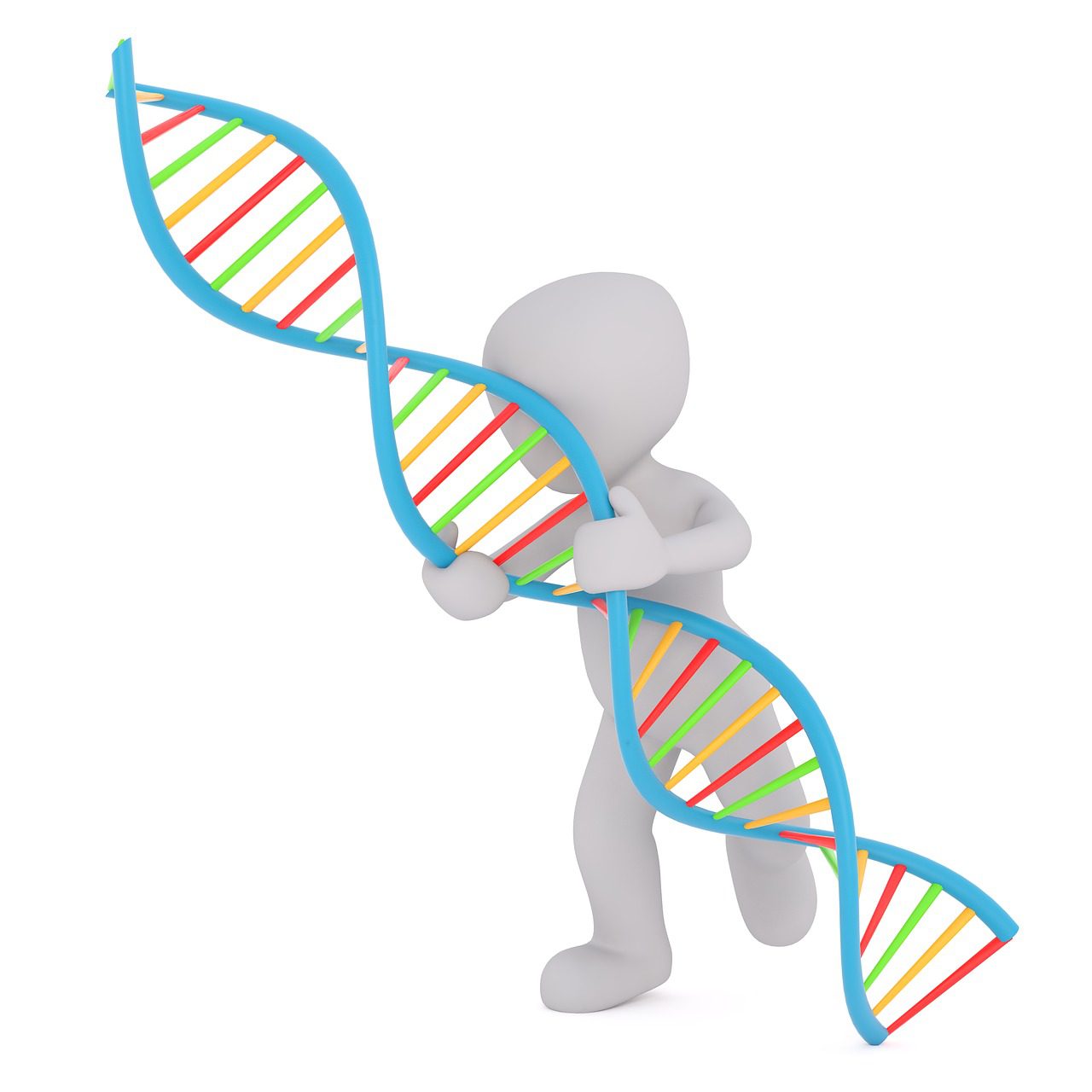 What Are Stem Cells IASRM Global